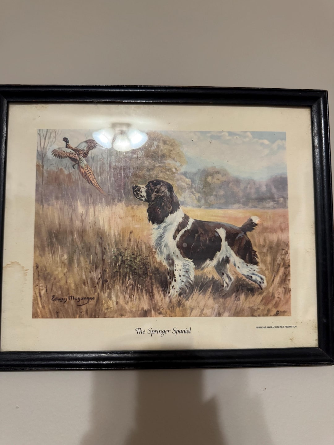Vintage Springer Spaniel Art 1945 Gunning and Fishing Prints Publishing ...
