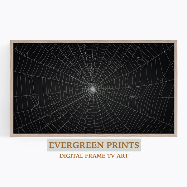 Framed Spider Web - Etsy