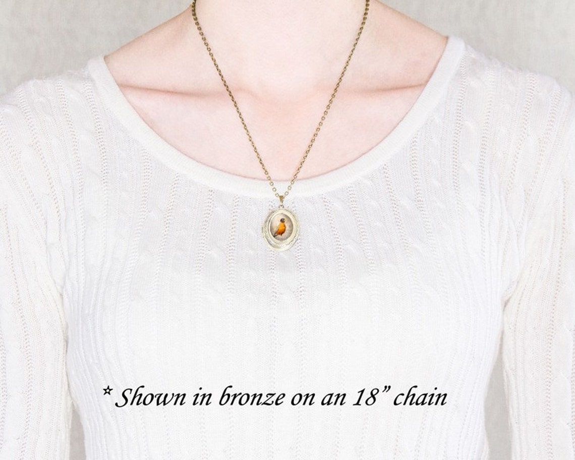 Robin Locket Red Robin Bird Locket American Robin Jewelry - Etsy