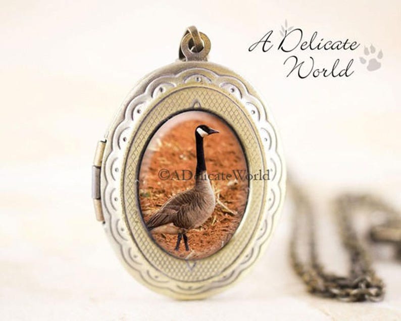 Canadian Goose Locket Bronze Bird Locket Pendant, Nature Locket Jewelry ...