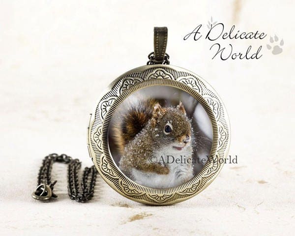 Squirrel Locket With Wildlife Photo Under Glass, Woodland Animal ...