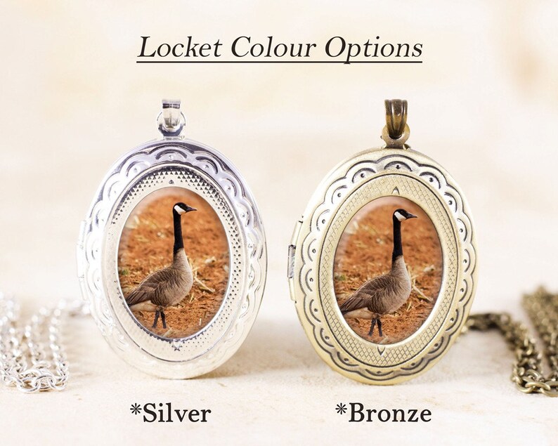 Canadian Goose Locket Bronze Bird Locket Pendant, Nature Locket Jewelry ...