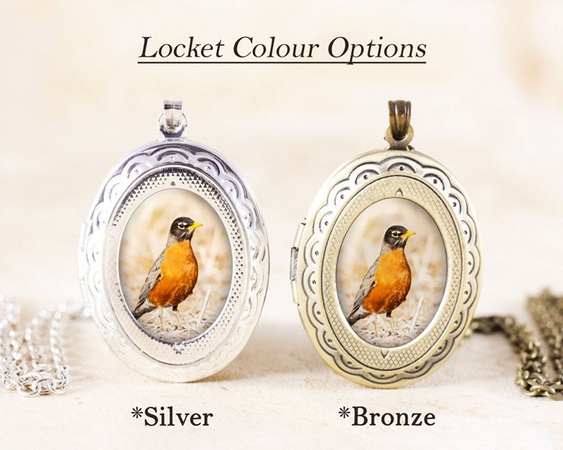 Robin Locket Red Robin Bird Locket American Robin Jewelry | Etsy