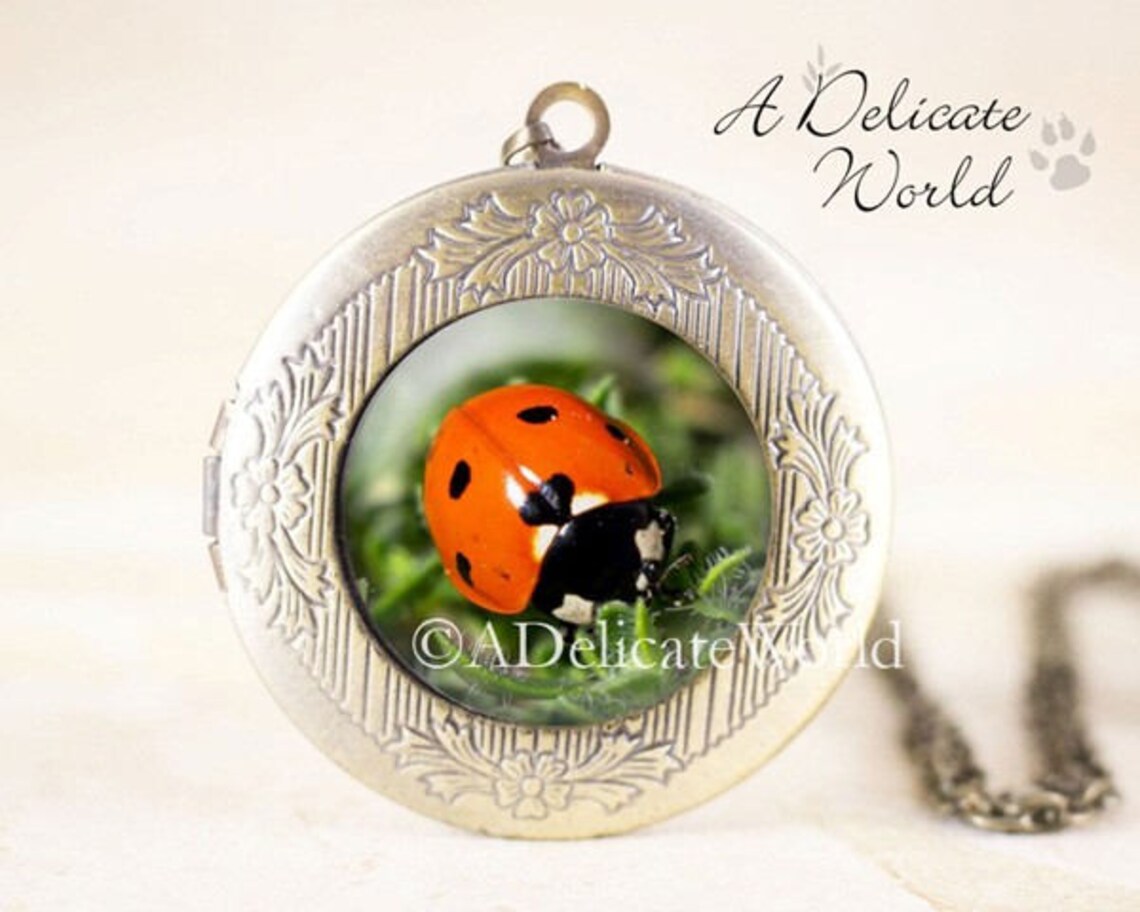 Ladybug Locket Nature Locket, Red Ladybug Jewelry, Garden Jewelry ...