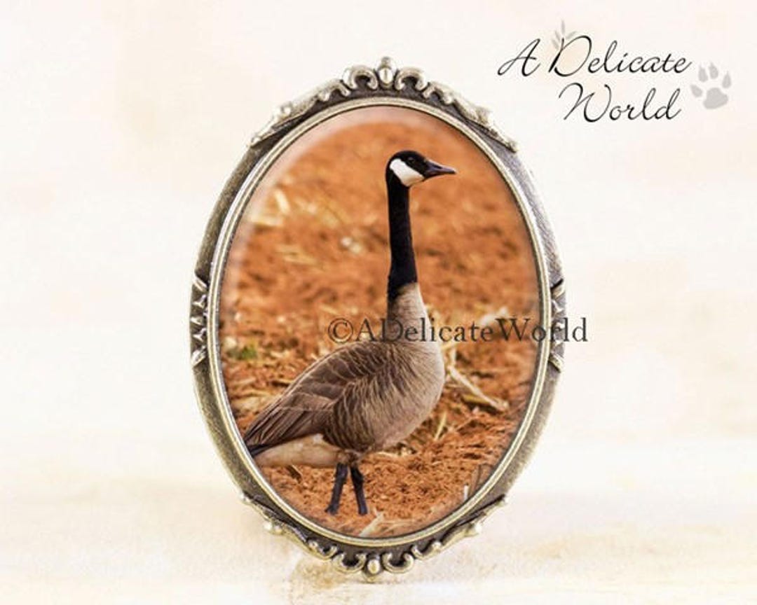 Canada Goose Brooch Pin - Canadian Geese Jewelry Pin, Bird Photo Brooch ...