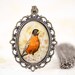 Spring Robin Necklace Red Robin Bird Jewelry Nature - Etsy