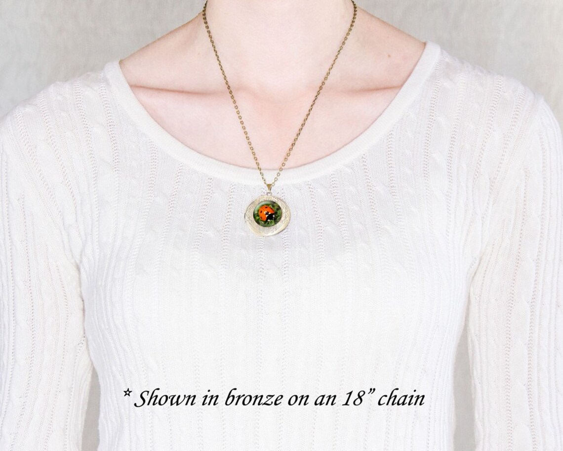 Ladybug Locket Nature Locket, Red Ladybug Jewelry, Garden Jewelry ...