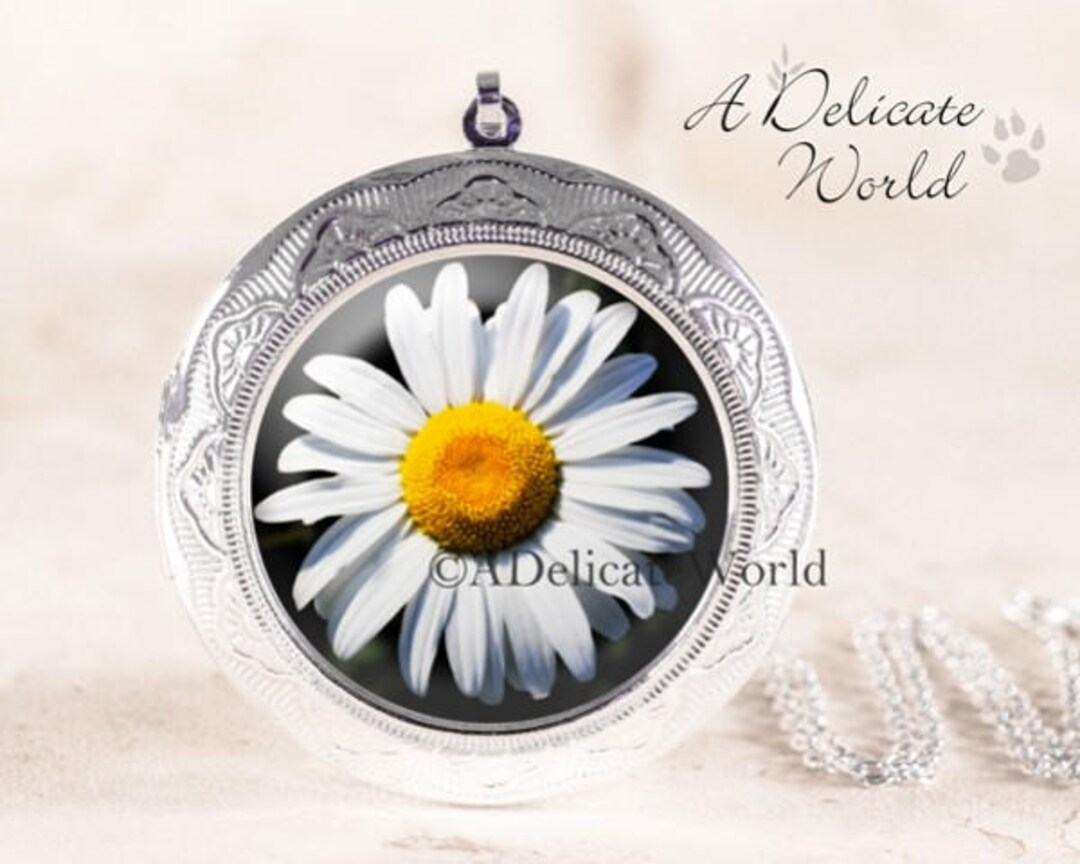 Daisy Locket Necklace - Silver Daisy Jewelry, White Daisy Photo Locket ...