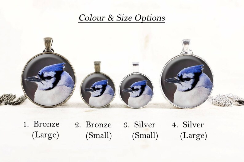Blue Jay Necklace, Silver Bird Jewelry, Small Round Pendant and Chain ...