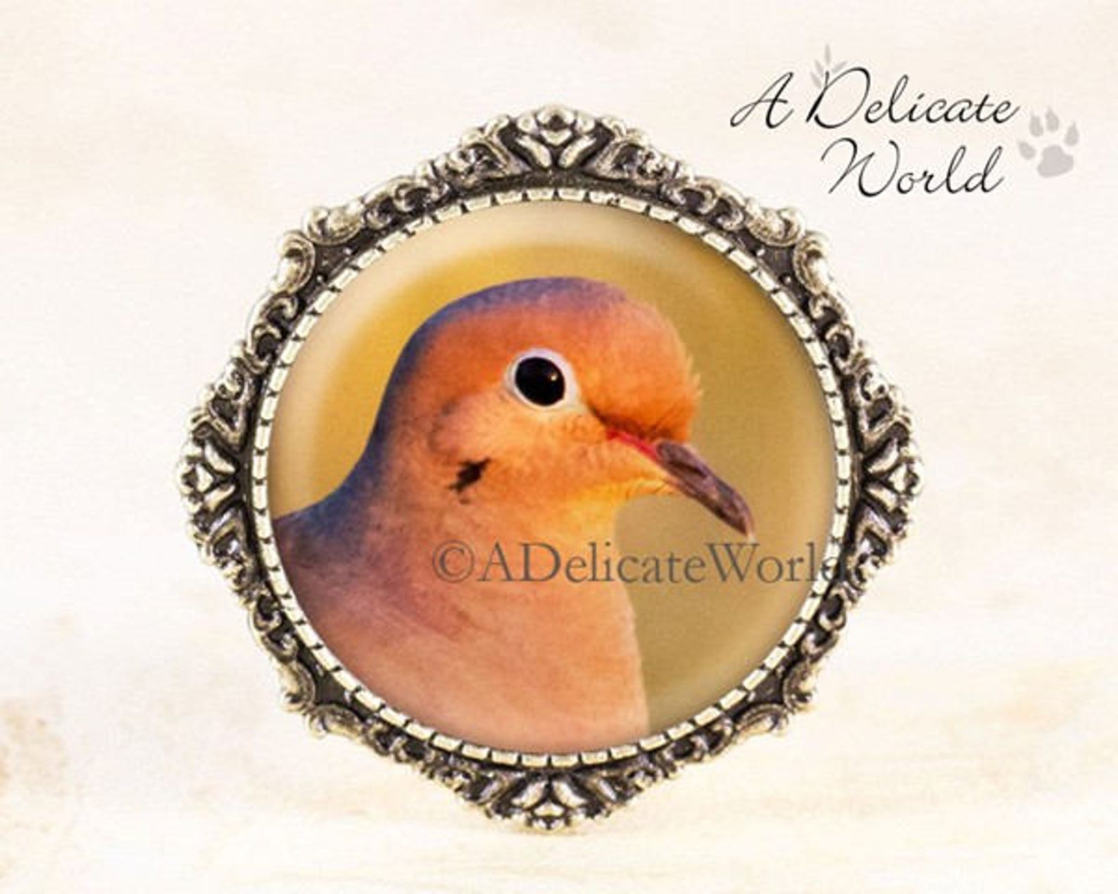 Mourning Dove Jewelry Brooch Bird Photo Pin Nature Broach | Etsy