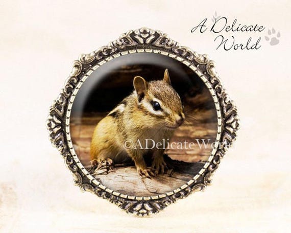 Chipmunk Brooch Bronze Animal Jewelry Woodland Animal | Etsy