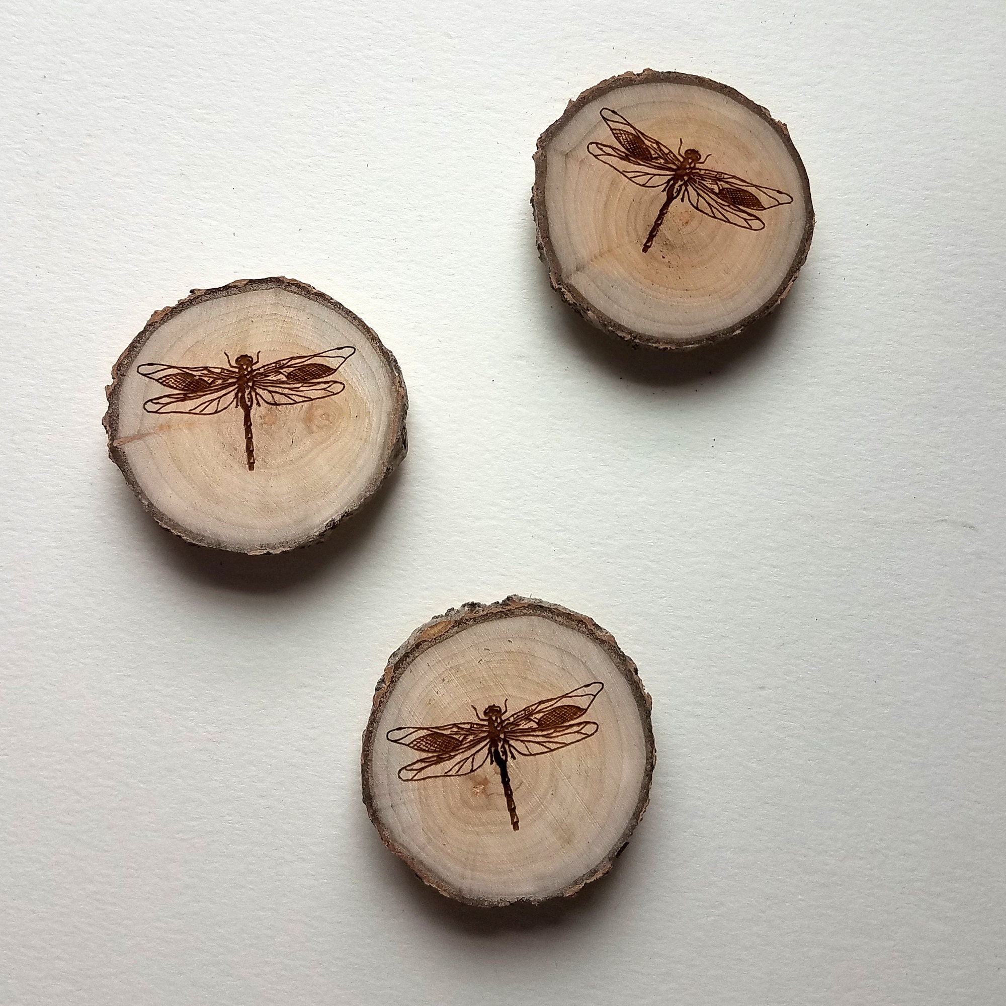 Dragonfly Natural Wood Magnet, Tree Slice Novelty Fridge Magnet, Nature ...