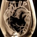Staked Vampire Heart Stemless Wine Glass Gothic Decor, Free Engraced ...