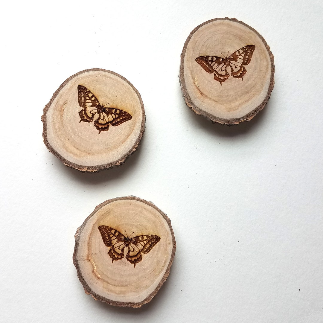 Butterfly Wood Round Magnet, Tree Slice Decorative Fridge Magnet Set - Etsy