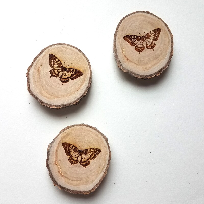 Butterfly Wood Magnet - Etsy