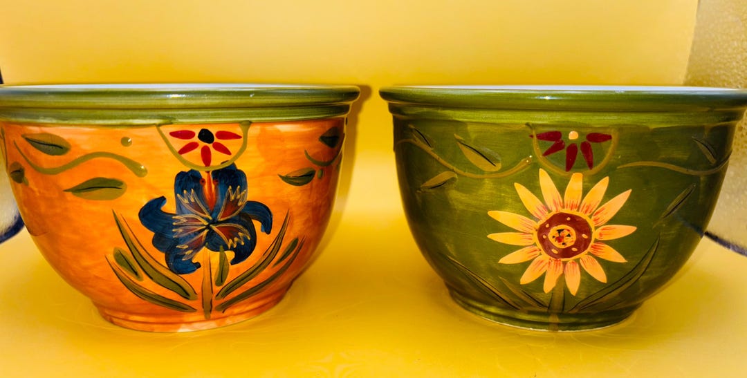 Certified International Susan Winget Pair of Floral Salad/cereal Bowls ...