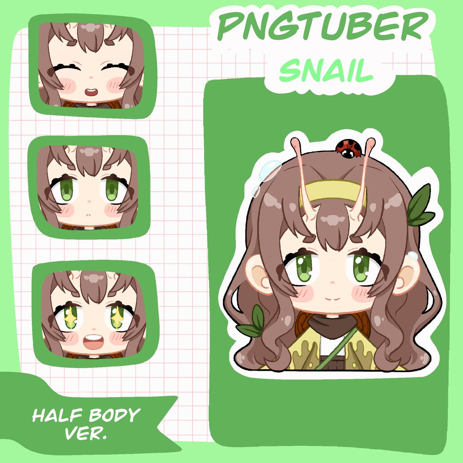 Pre-made Anime-style Pngtuber – Instant Download - Etsy