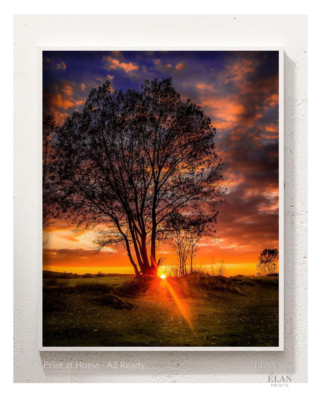 Sunset Tree Print – Forest Firelight Wall Art, A2 Poster, Minimalist ...