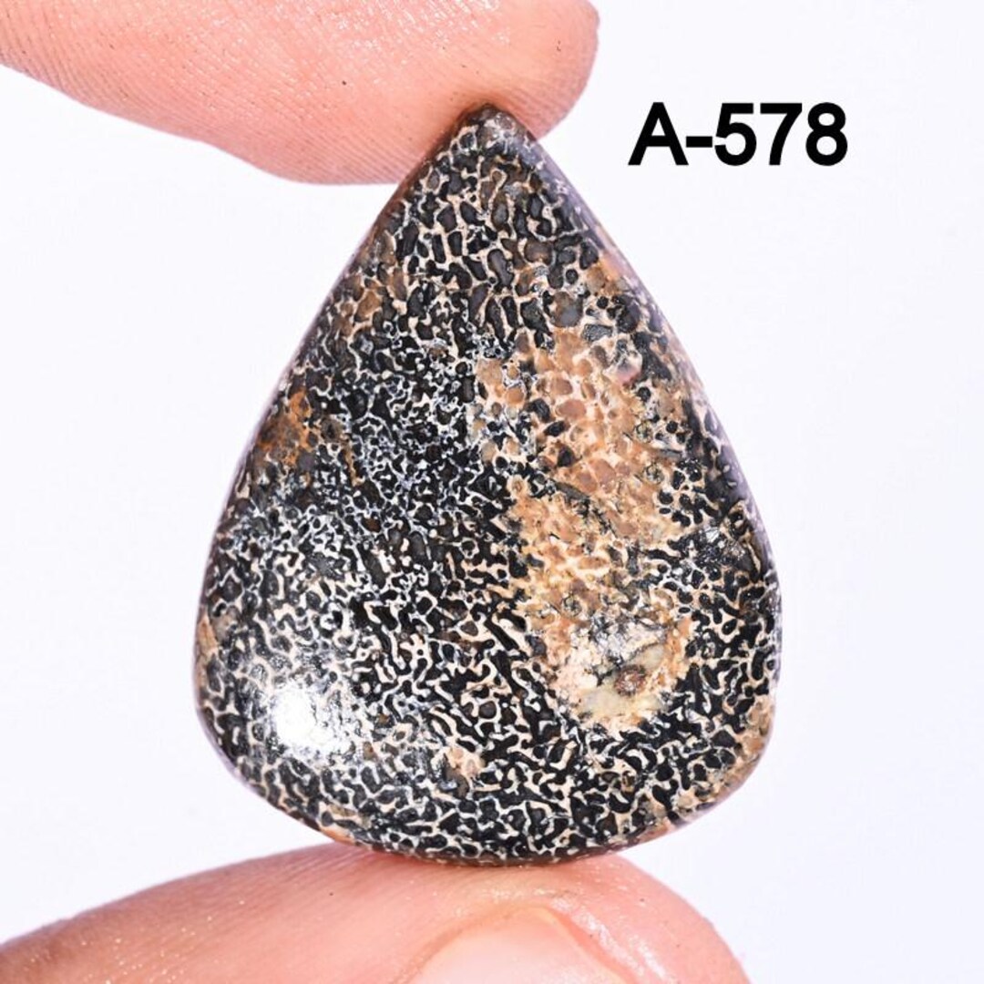 Rare Quality Natural Dinosaur Bone Cabochon - Smooth Polished Flat Back ...