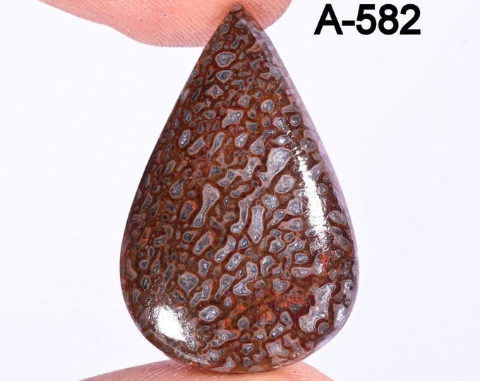 Rare Quality Natural Dinosaur Bone Cabochon - Smooth Polished Flat Back ...