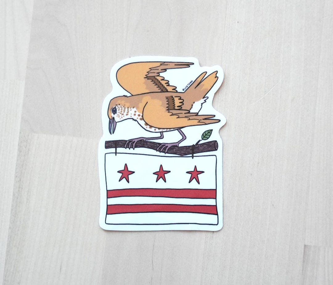 Washington, DC - Wood Thrush - 3" Official Bird and Flag Sticker - Etsy