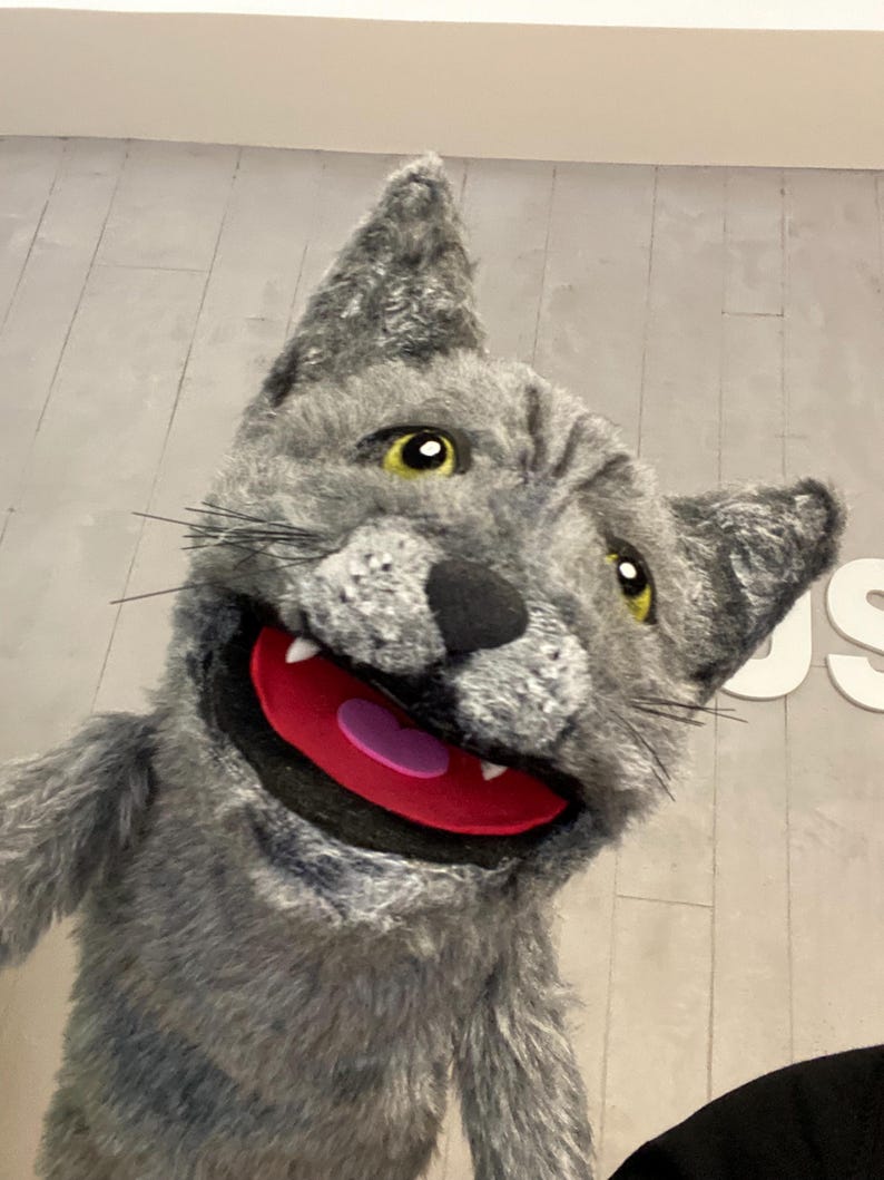 Pet + Owner Puppet Set | Custom Handmade Lookalike Puppets ...