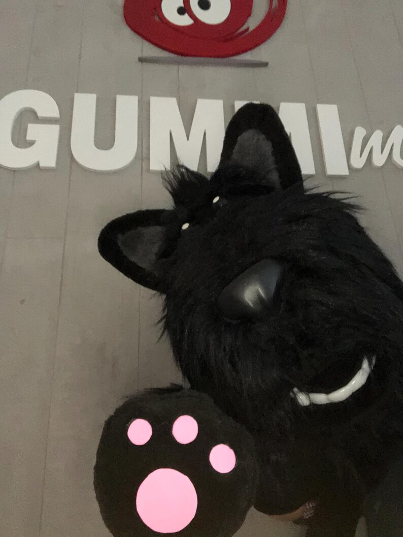 Pet + Owner Puppet Set | Custom Handmade Lookalike Puppets ...