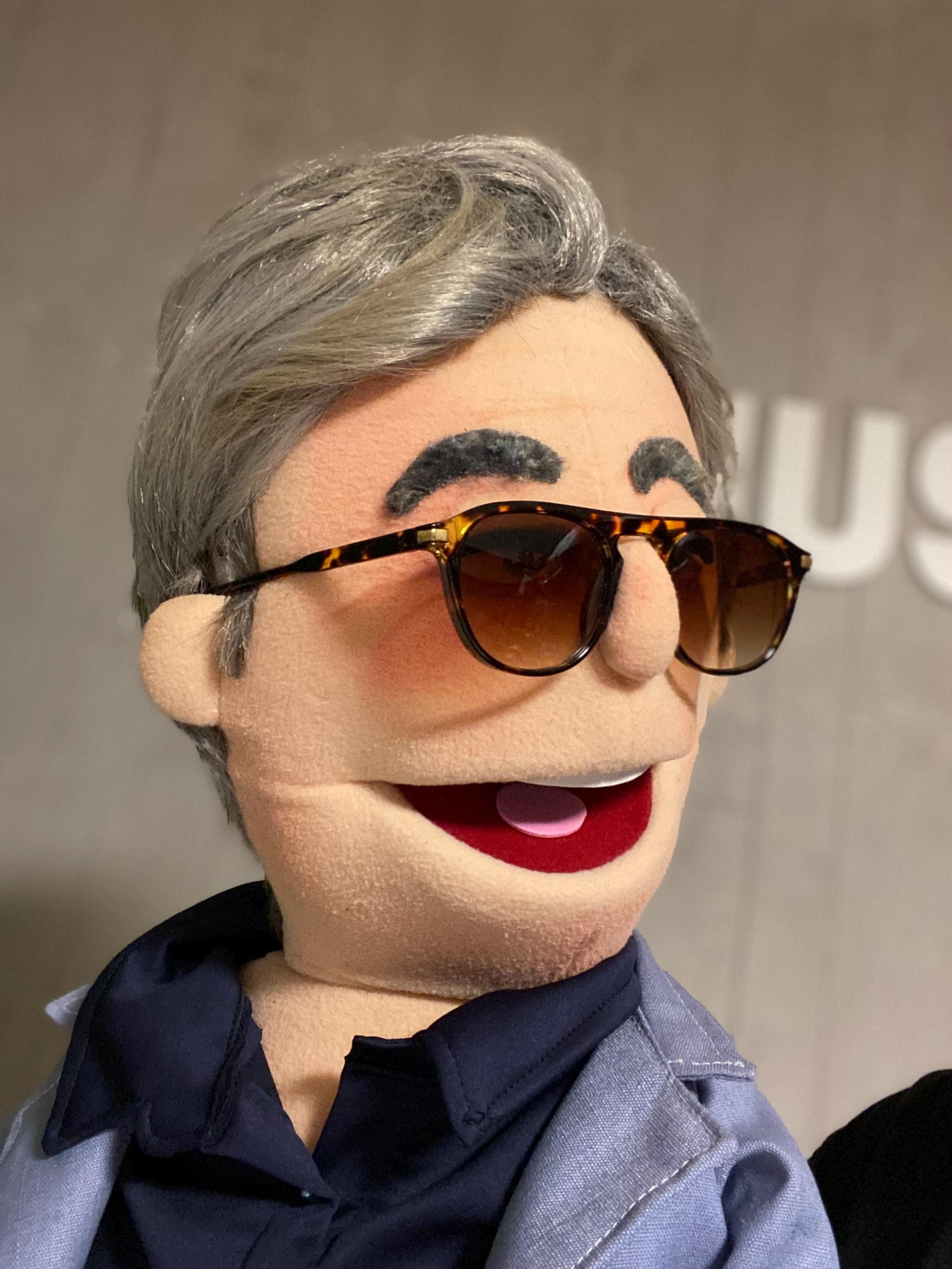 Custom Puppet-style Muppet | Personalized Lookalike Portrait | Handmade ...