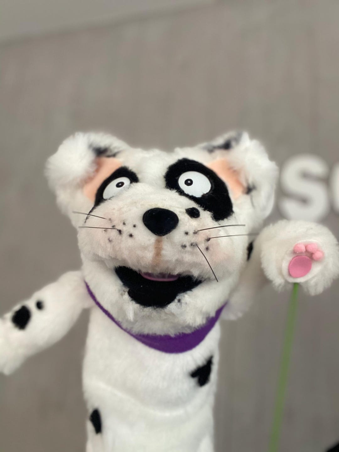 Pet + Owner Puppet Set | Custom Handmade Lookalike Puppets ...