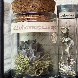 Handmade Box Assemblage Shadow Box Mixed Media Collage Diorama - Etsy