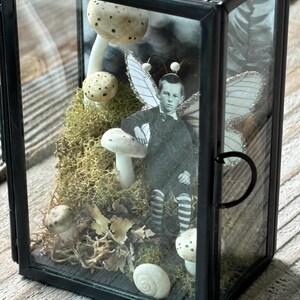 Handmade Fairy Box Assemblage Mixed Media Collage Diorama - Etsy