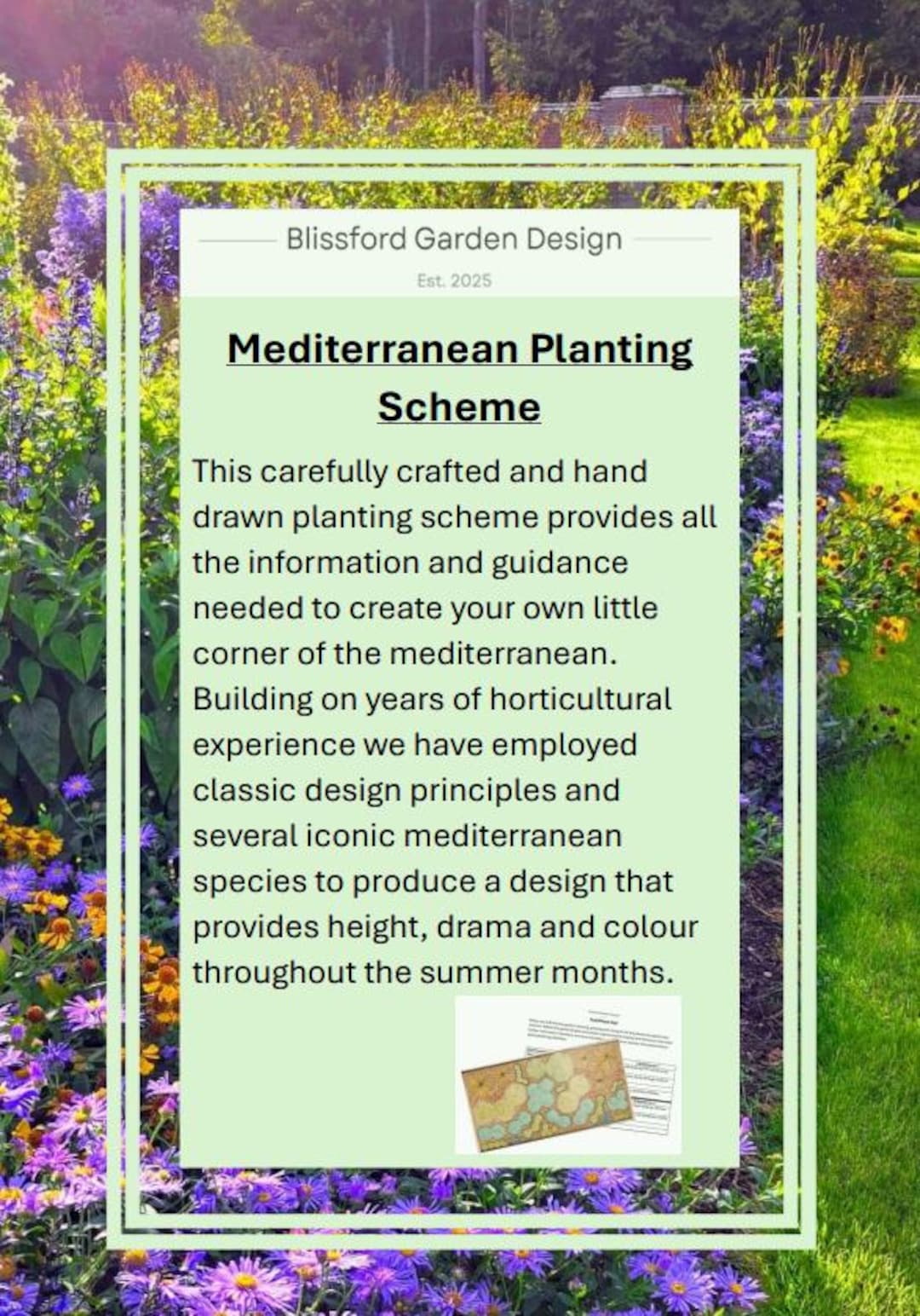 Mediterranean Style Planting Scheme - Etsy