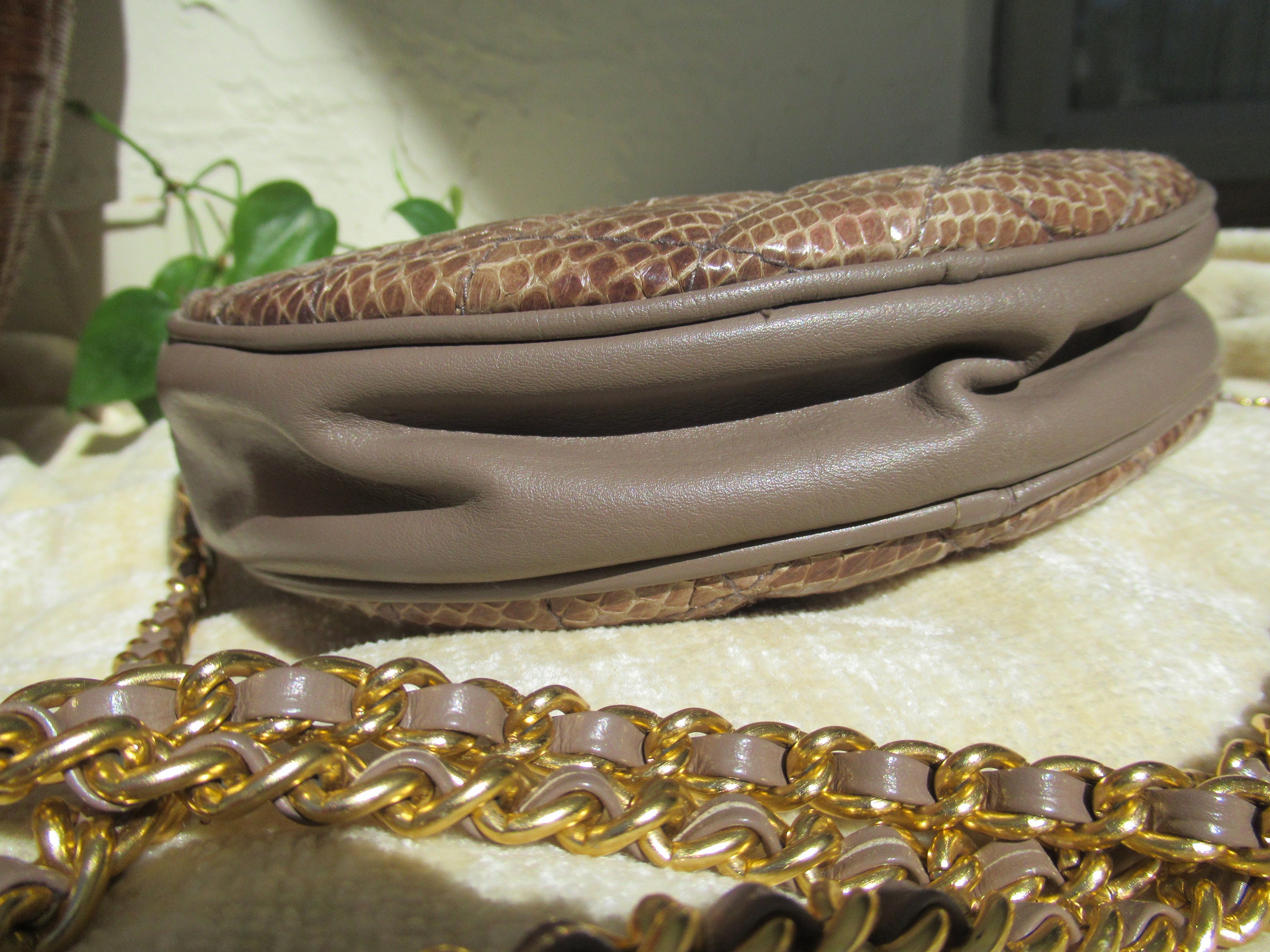 Vintage Classy Tan Snake Skin Purse by Magnum Fashion | Etsy