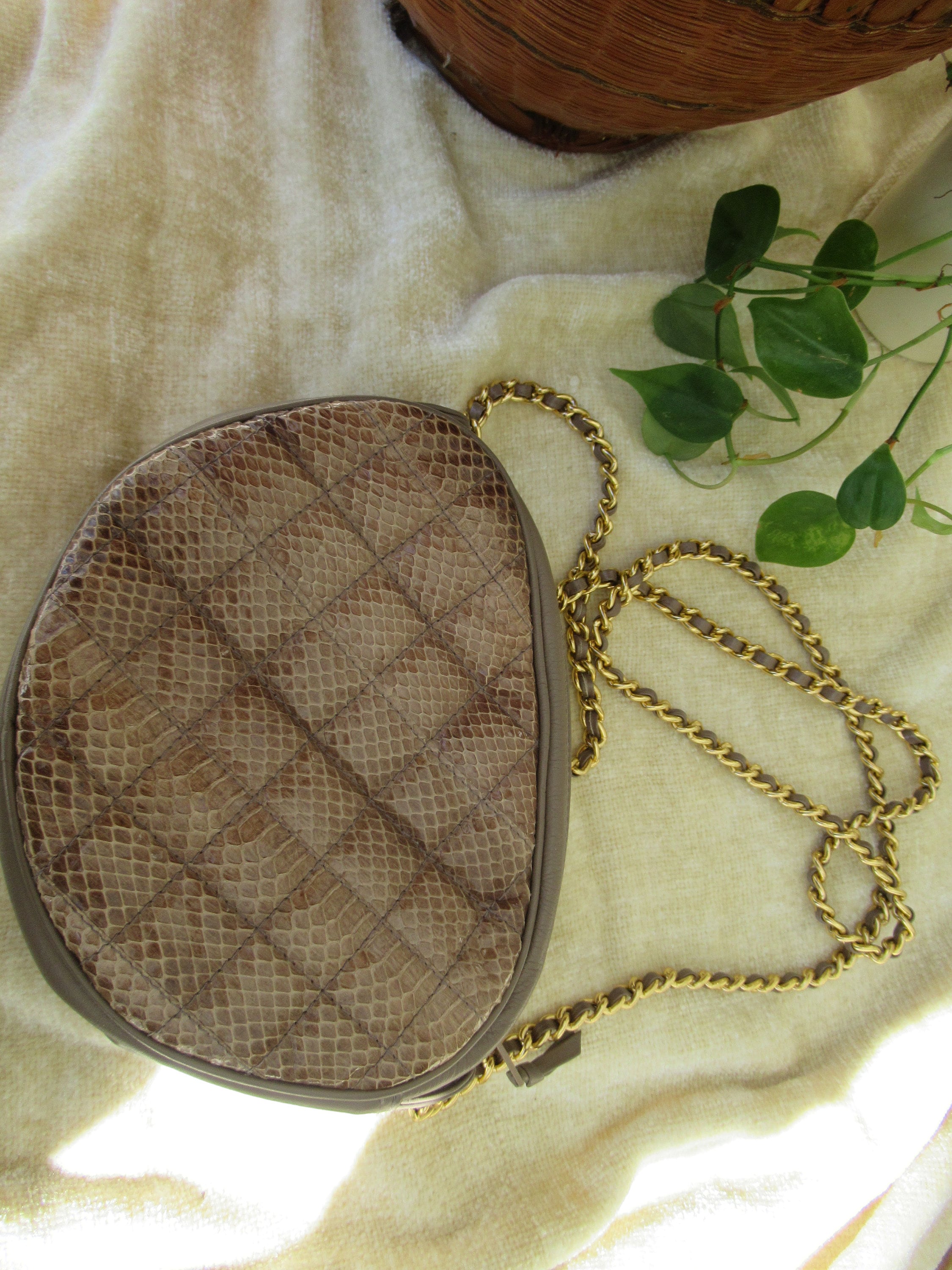 Vintage Classy Tan Snake Skin Purse by Magnum Fashion | Etsy