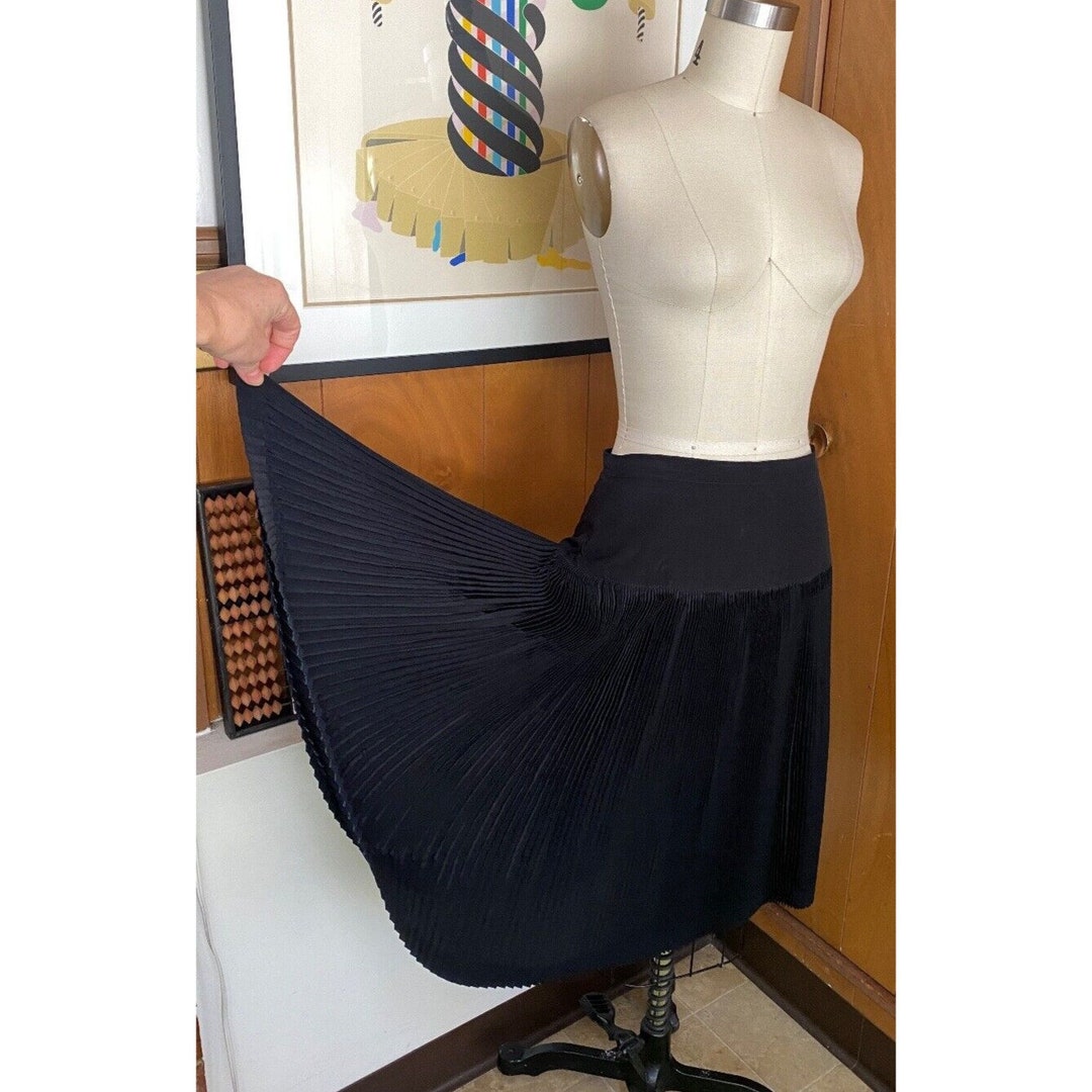 SASSIA Paris Skirt Sz 2 Accordian Pleated Black Knee Length - Etsy