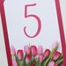 Pink Spring Tulip Table Numbers - Etsy