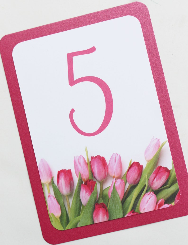 Pink Spring Tulip Table Numbers - Etsy