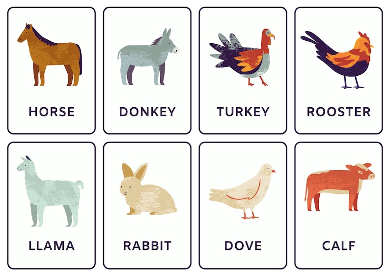 Animal Name Picture Flashcards | Toddler Learning Cards (digital ...