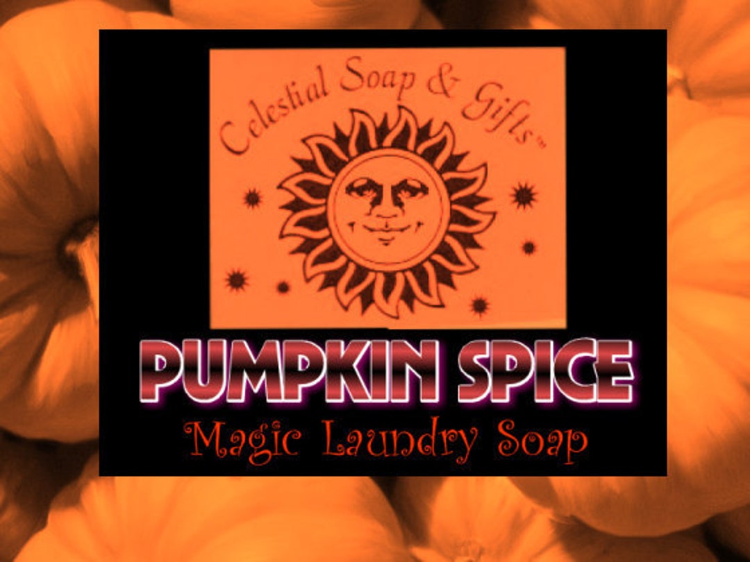 Pumpkin Spice VEGAN Laundry Soap Powder Bag - 40-80 LOADS Gross Wt. 44 ...