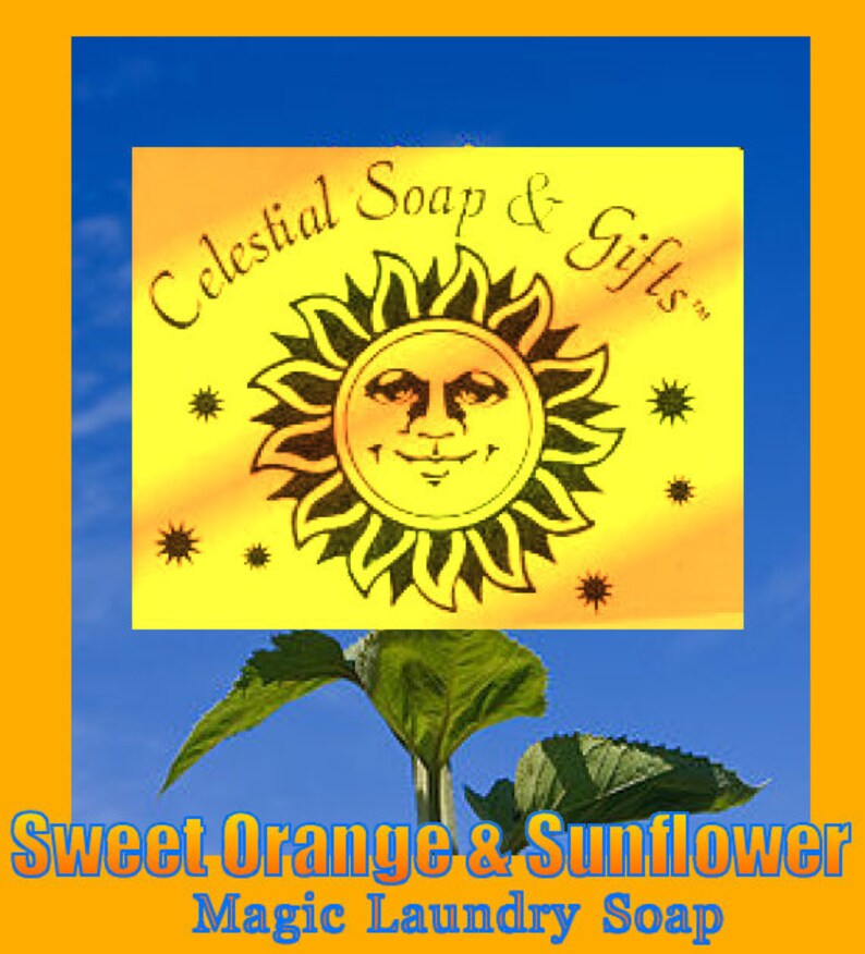 Sweet Orange & Sunflower Natural VEGAN Laundry Soap Powder Bag 40-80 ...