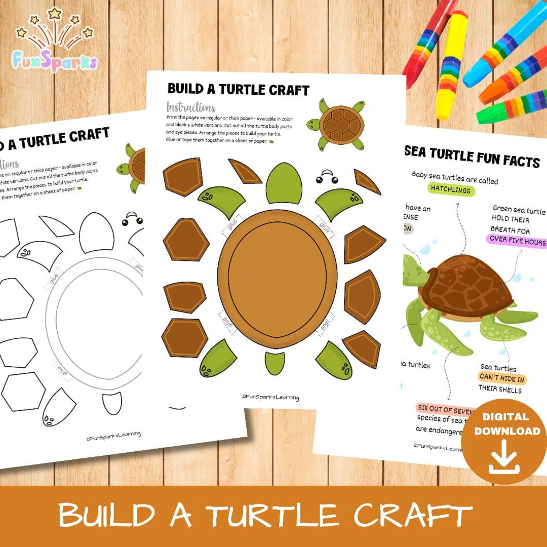 Build a Turtle Craft | Ocean Animal Cut and Paste Activity for Summer ...