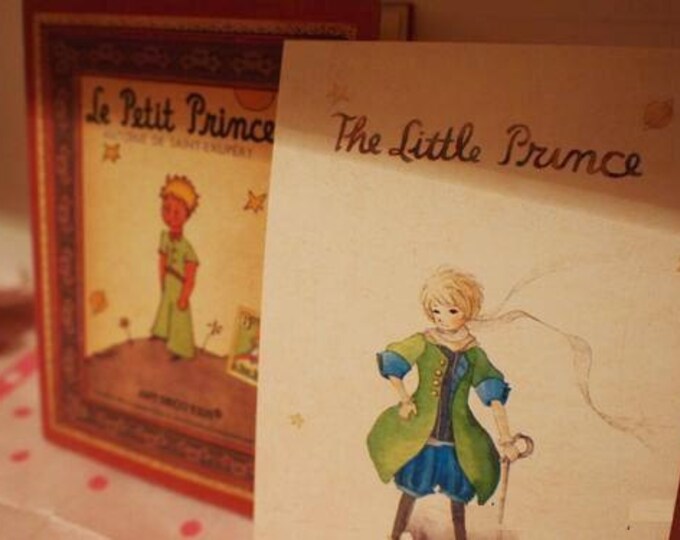 The Little Prince (le Petit Prince) Postcards Set (10 Cards) - Etsy