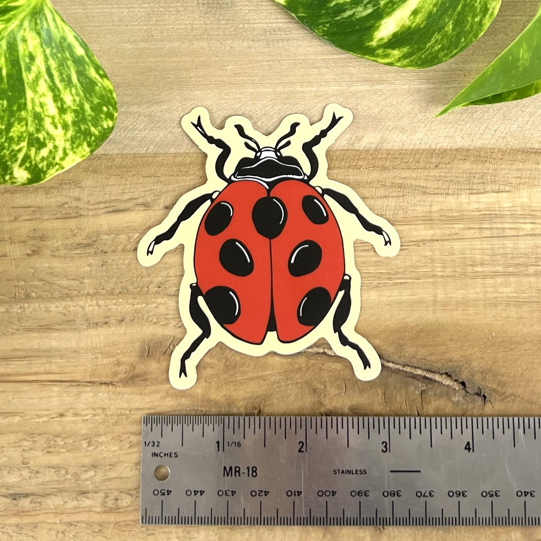 Ladybug Vinyl Sticker: Weatherproof Laptop Decal - Etsy