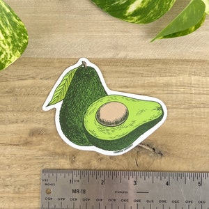 Avocado Sticker - Vinyl Decal - Etsy