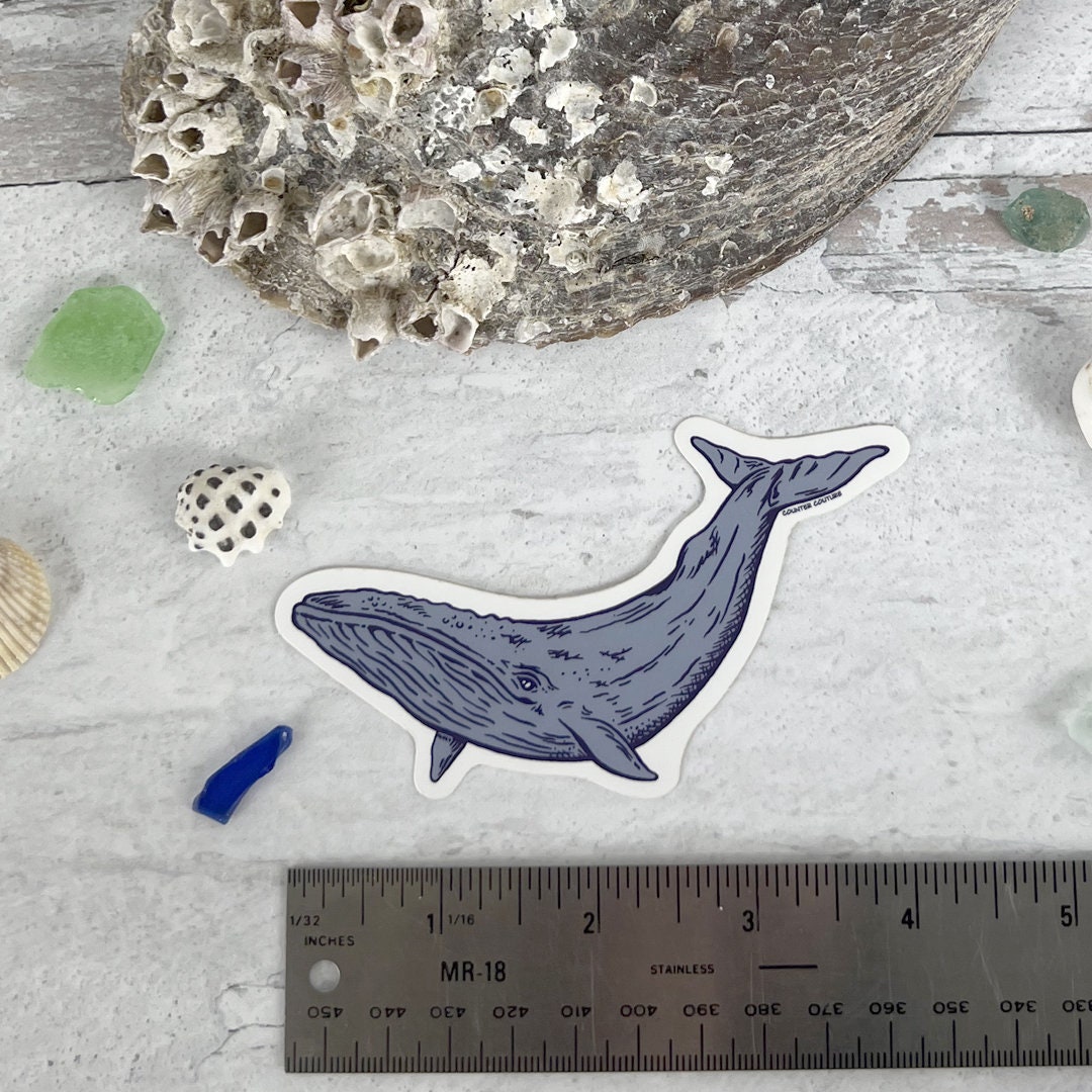 Blue Whale Sticker for Water Bottle - Whale Sticker - Decal - Vinyl ...