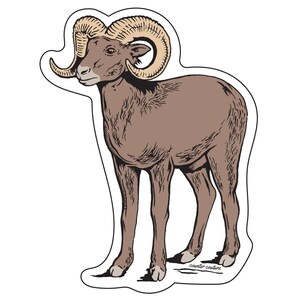 Big Horn Sheep Sticker for Water Bottle Decal Vinyl Ram Laptop Big Horn ...