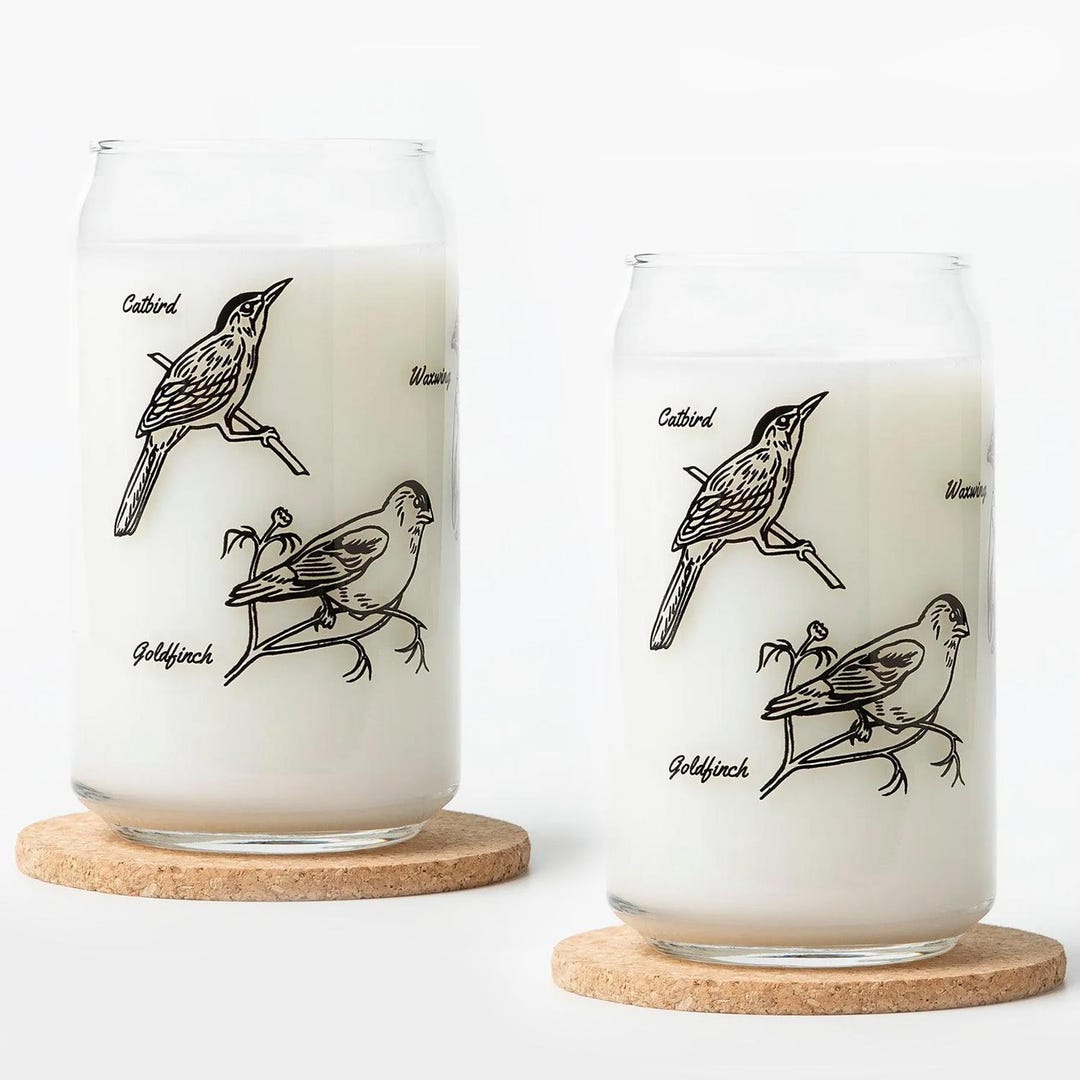 Bird Beer Can Glass - Backyard Birds Glassware - Bird Housewarming Gift ...