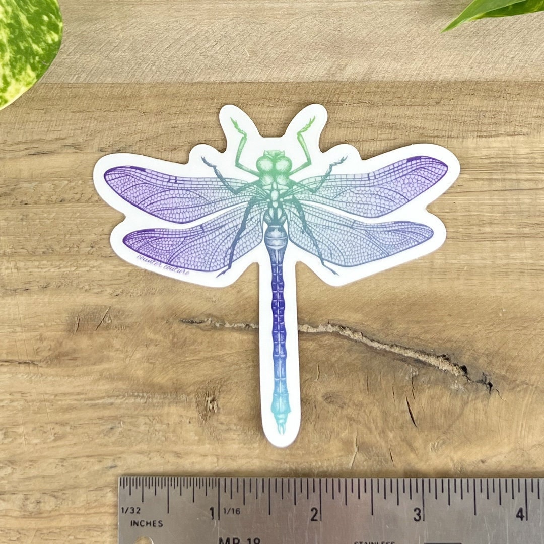 Dragonfly Sticker for Water Bottle - Decal - Vinyl - Insect Decal - Etsy