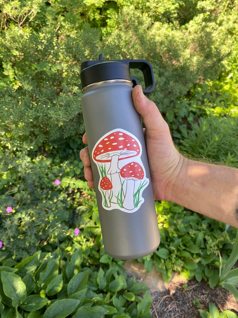 Matte Sticker Red Mushroom Forest Floor Aesthetic Sticker - Etsy