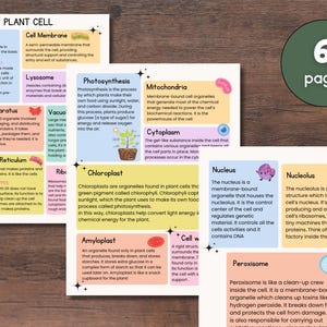 Plant Cell Anatomy Printable Activity, Homeschool Science Lesson (PDF ...